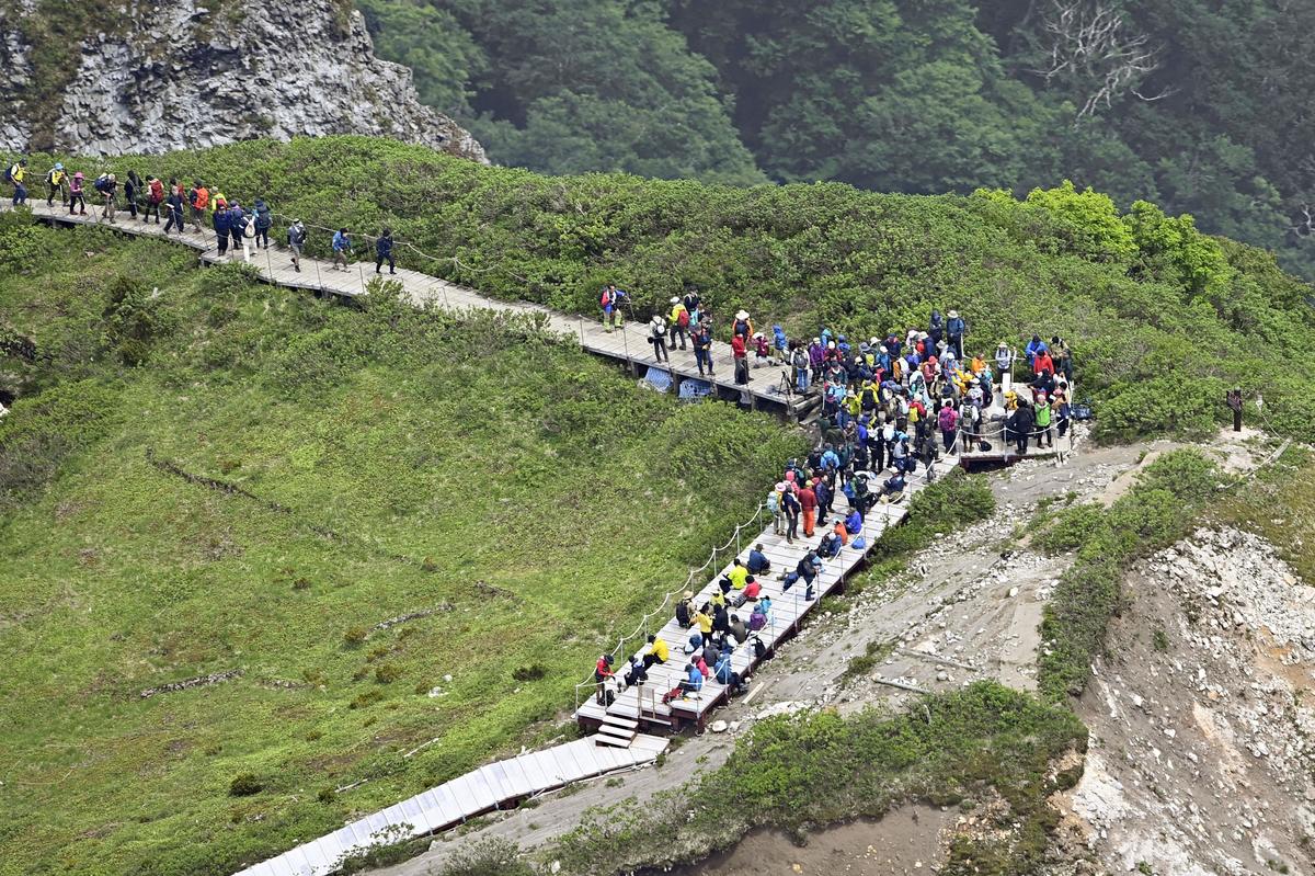【写真特集】大山山頂から「涼」を① 夏の頂上、花々が彩る | 山陰中央新報デジタル